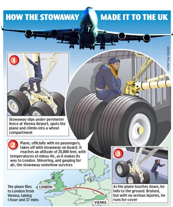 8 Unbelievable Plane Stowaway Survival Stories - Real Estate Clearwater ...