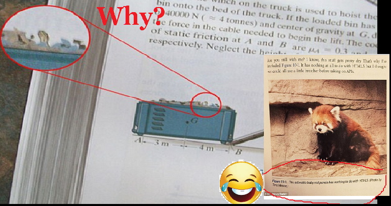These Hilarious Textbook Fails Will Make You Wonder How They Ever Got ...